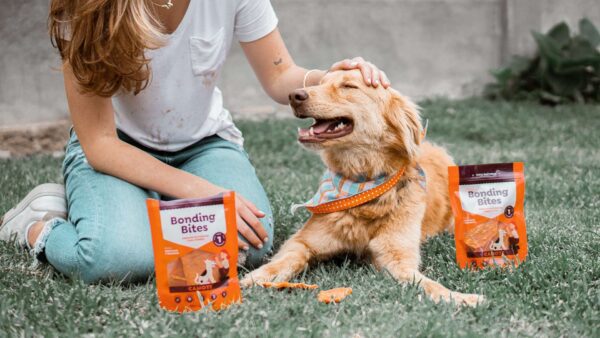 7 Proven Ways: How to Show Your Dog You Love Them! - BarkLikeMeow