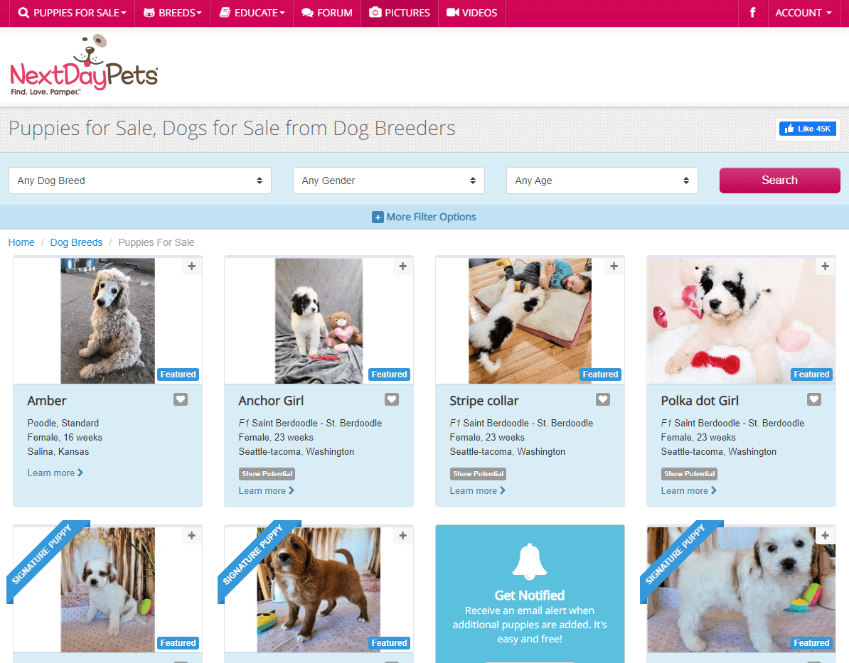 Where to Sell Puppies: The Definitive Guide to Finding Your Pups the ...