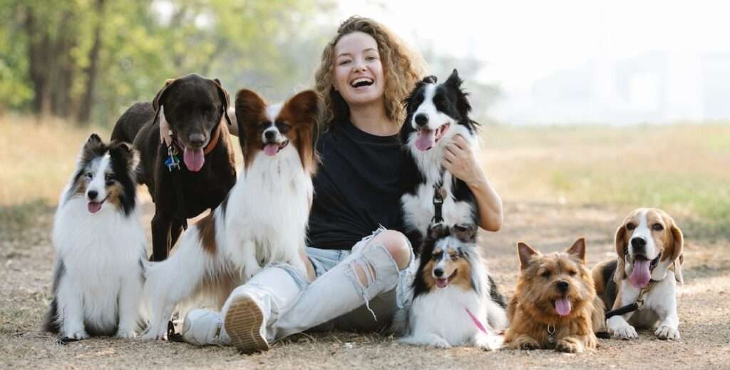 Dog Name Generator Find The Perfect Name For Your Pup BarkLikeMeow Dog Name Generator Find The Perfect Name For Your Pup BarkLikeMeow