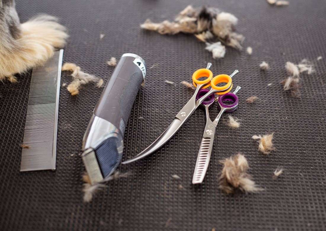 16 Best Dog Grooming Kit (2025) – Top Picks for Every Breed and Budget ...